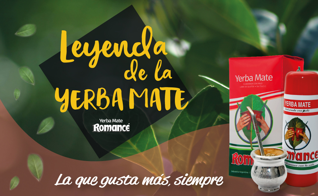 Origen Y Leyenda: Conoce La Yerba Mate – YFZES